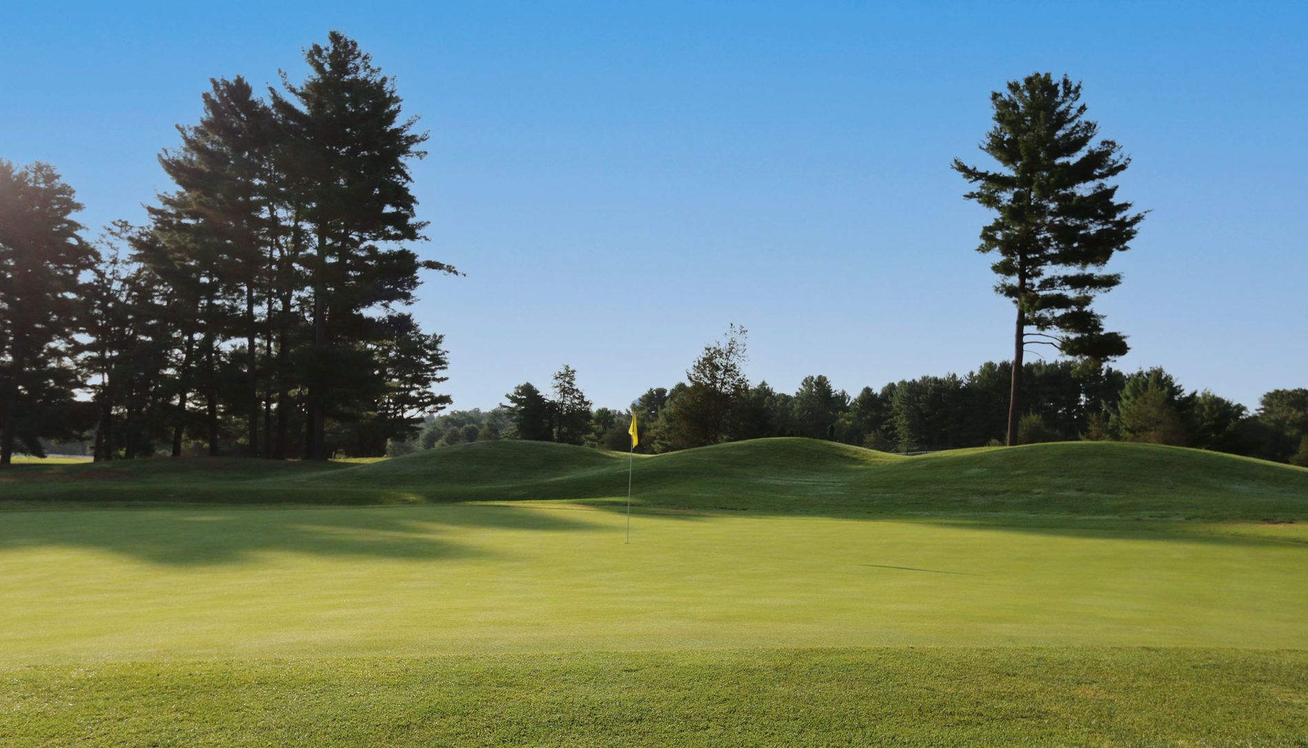 Coming home to Hillview Golf Course – Tom Irwin